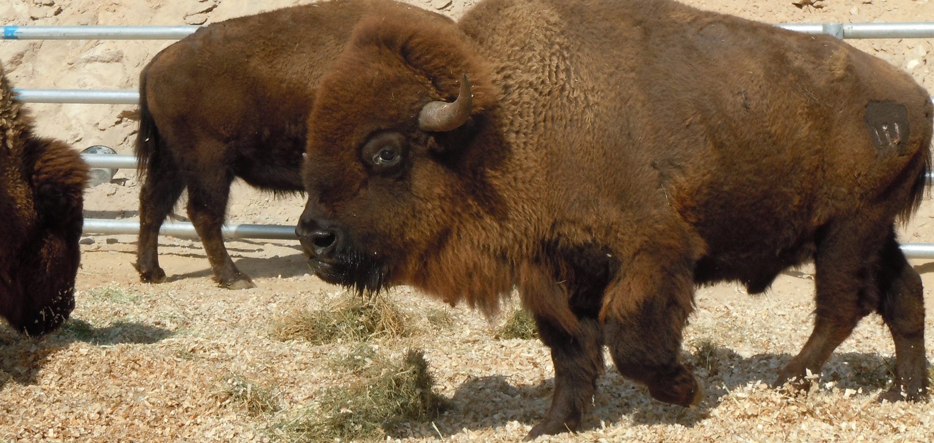 Equitrans – Equitrans Logistics