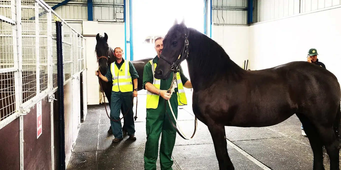 Equitrans – Equitrans Logistics